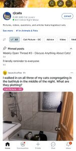 How to Post on Reddit: A Step-by-Step Guide - REDUV
