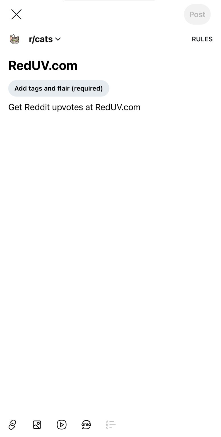 How to Post on Reddit: A Step-by-Step Guide - REDUV